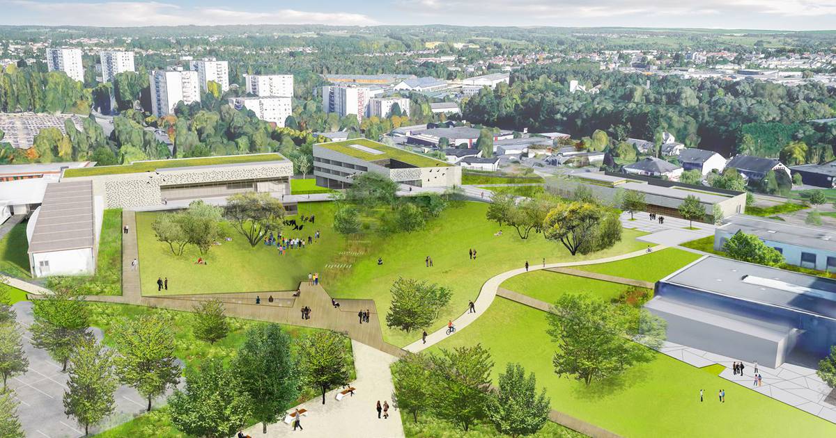 Institut universitaire de technologie (IUT RCC – URCA)